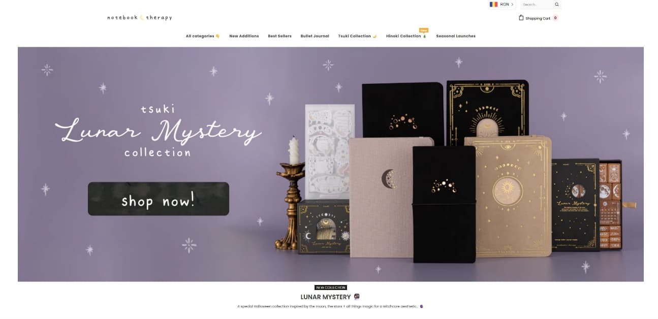 Top 10 Shopify Dropshipping Stores To Inspire From [2025]