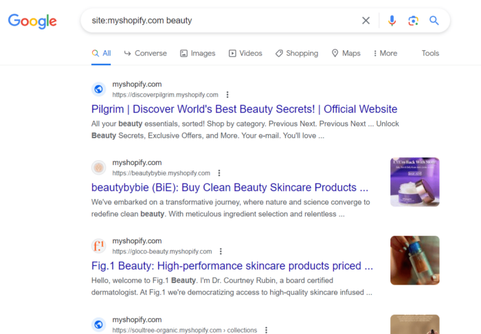 How to Find Shopify Stores? - Easily Find Verified Stores