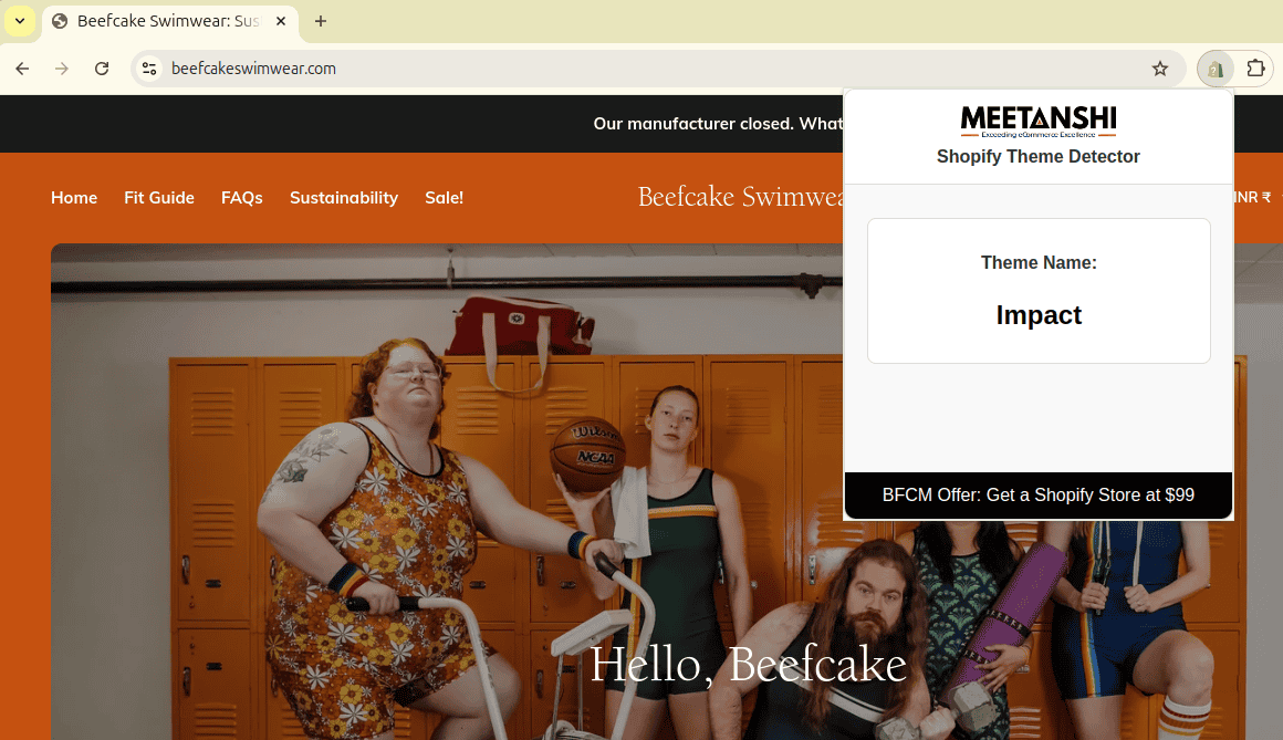 How to Find Shopify Theme a Website is Using? - 3 Methods