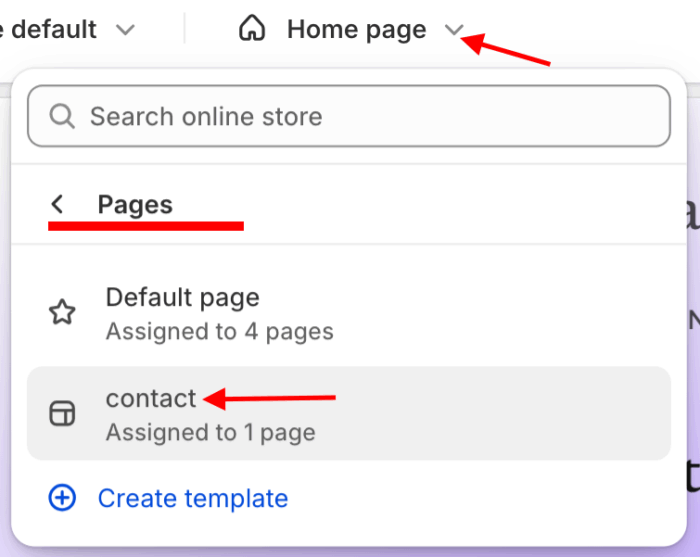 How to Create a Contact Us Page in Shopify?