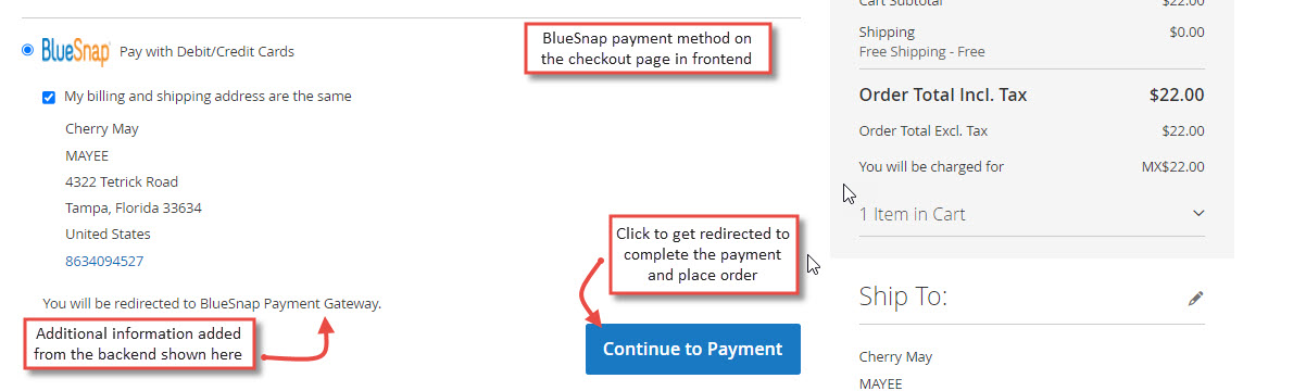 Magento 2 BlueSnap Payment Gateway Integration