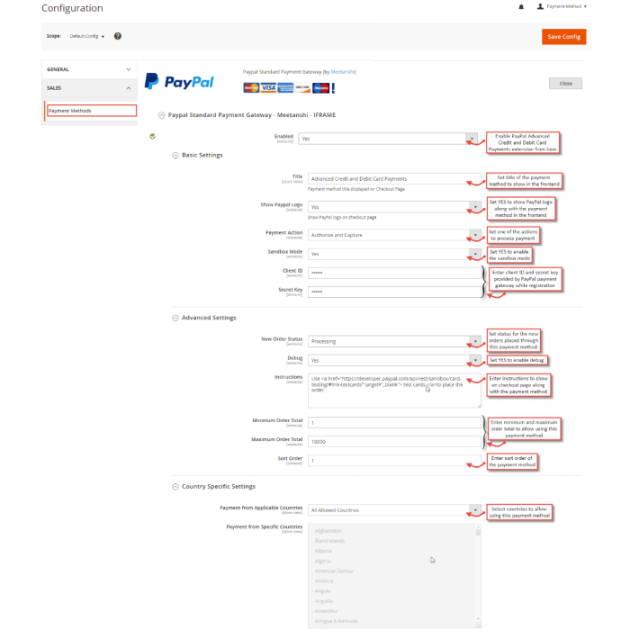 Magento 2 PayPal Advanced Credit & Debit Card Payments
